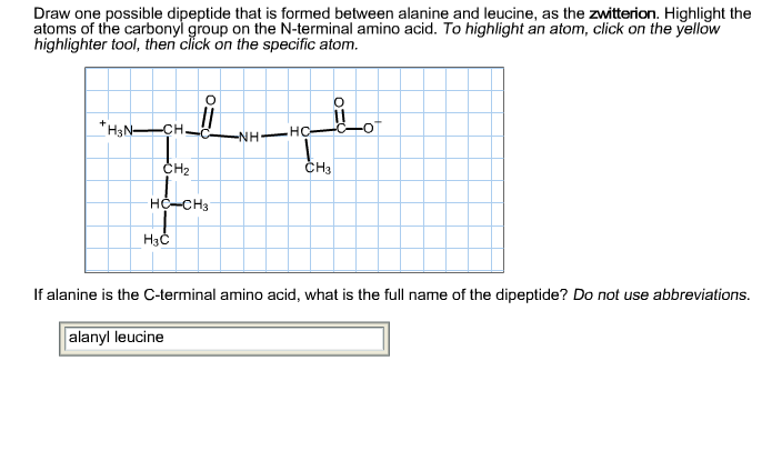 Solved Draw one possible dipeptide that is formed between | Chegg.com