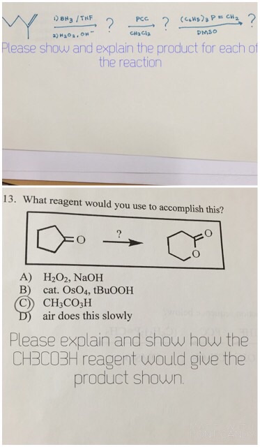 Solved Please and explain the product for each of the | Chegg.com