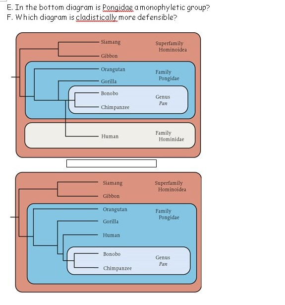 Solved 1. Most evolutionists use cladistic methods of | Chegg.com