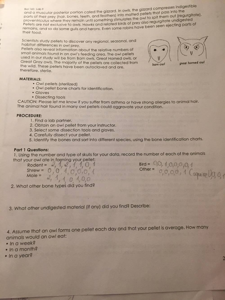 Solved Record the class findings on the chart at right and | Chegg.com