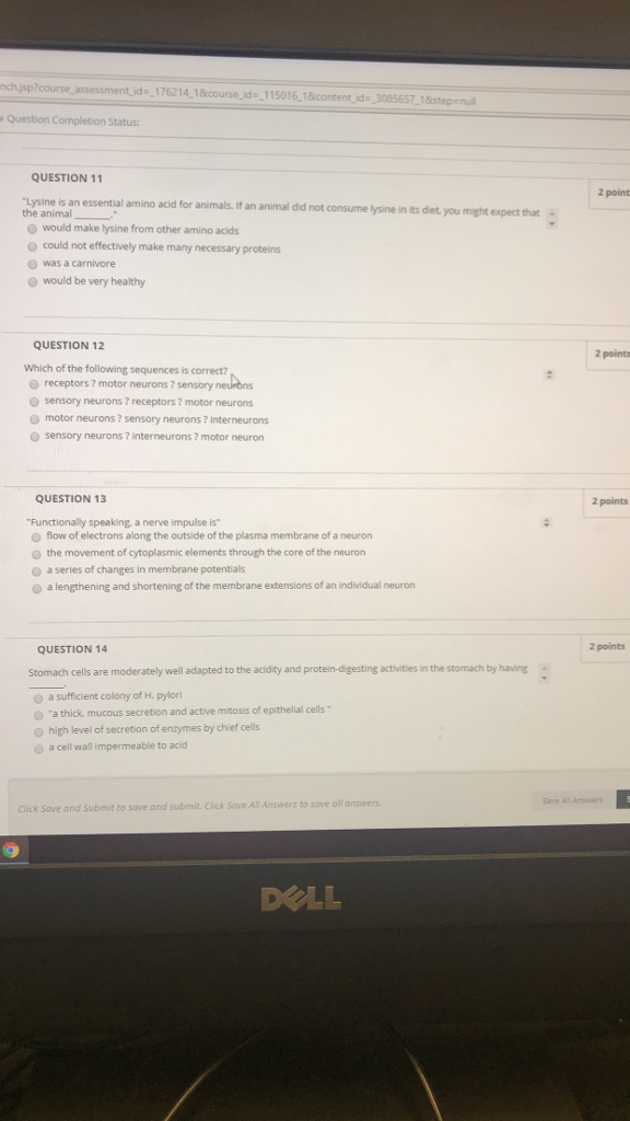 Solved nchujsp?course_assessment_id=_176214_1&icourse_id = | Chegg.com