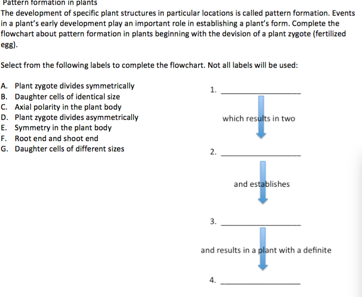Pattern Formation In Plants