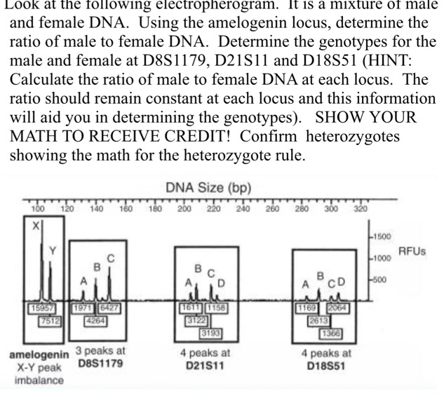 Solved Look at the following electropherogram. It is a | Chegg.com