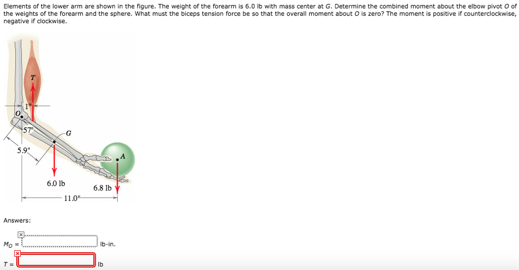 Solved Elements of the lower arm are shown in the figure. | Chegg.com