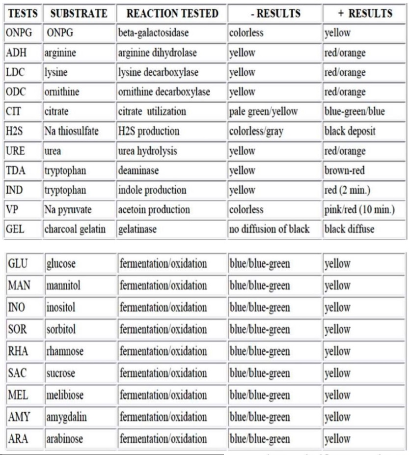 Food Microbiology Laboratory question, | Chegg.com