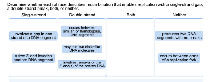 Solved Determine whether each phrase describes recombination | Chegg.com