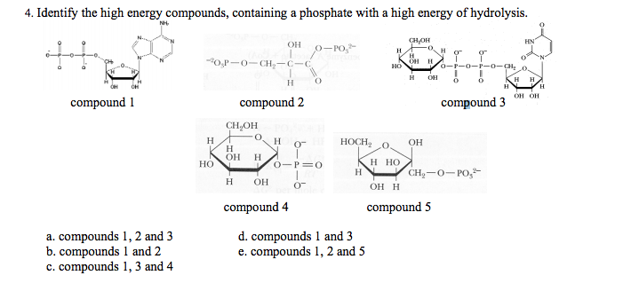 Solved Identify the high energy compounds, containing a | Chegg.com