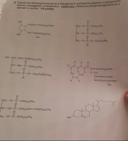 Solved Classify the following structures as a, a | Chegg.com