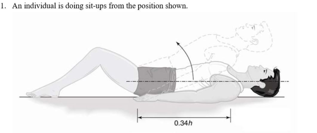 Solved the initial angular acceleration of the head, arms, | Chegg.com