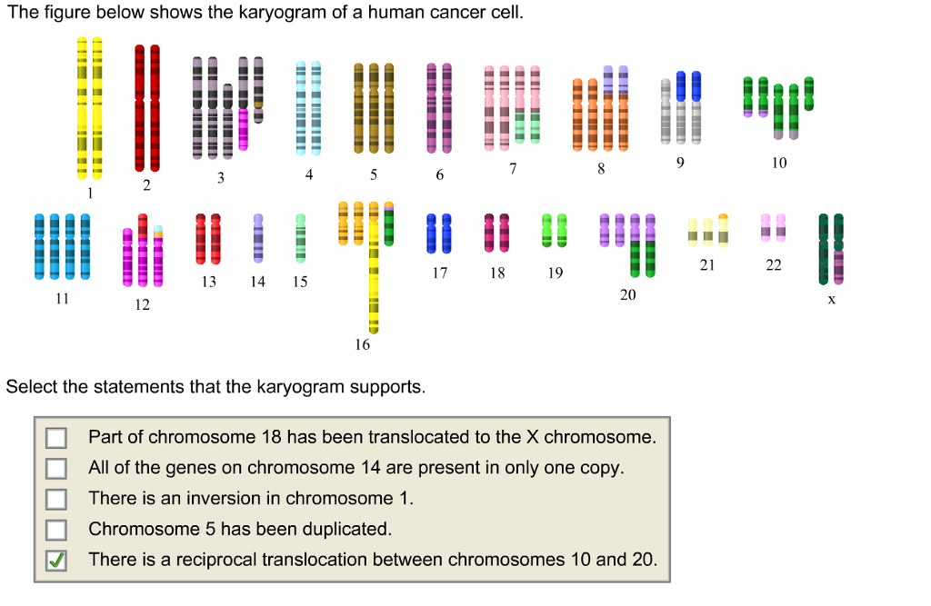 Solved The figure below shows the karyogram of a human | Chegg.com