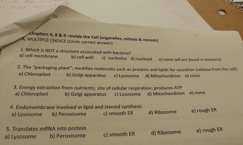 Solved Which Is NOT A Structure Associated With Bacteria Chegg