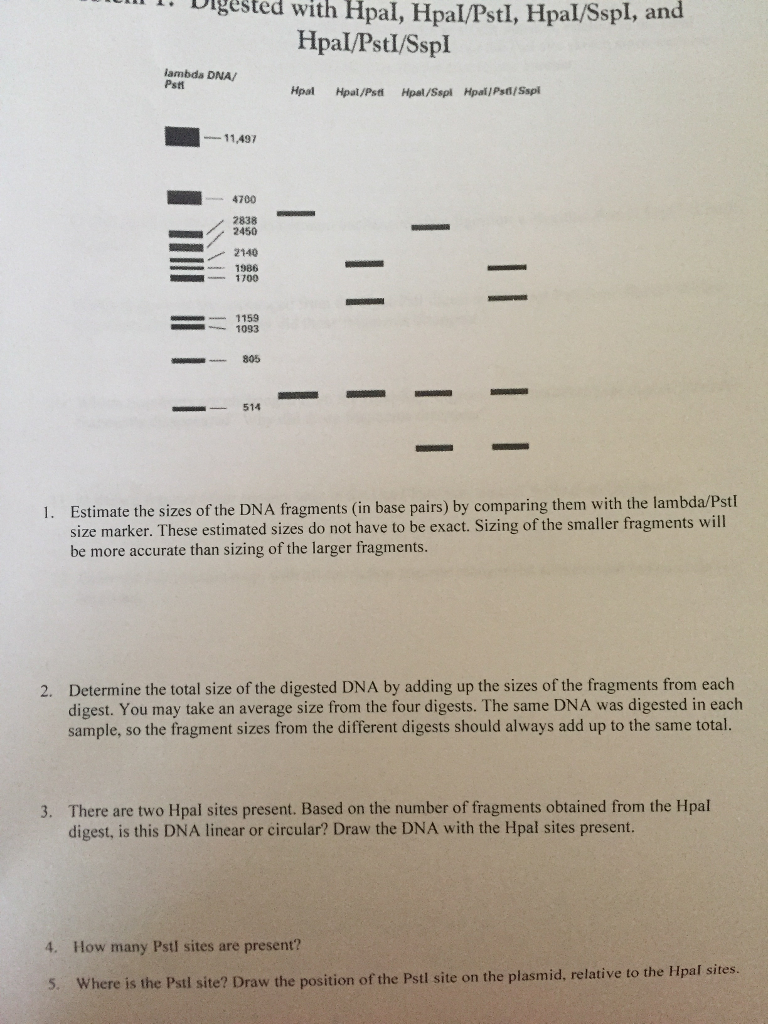 Solved ted with Hpal, Hpal/Pstl, Hpal/Sspl, and | Chegg.com