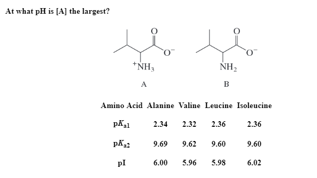 Solved At what pH is [A] the largest? NH3 NH2 Amino Acid | Chegg.com