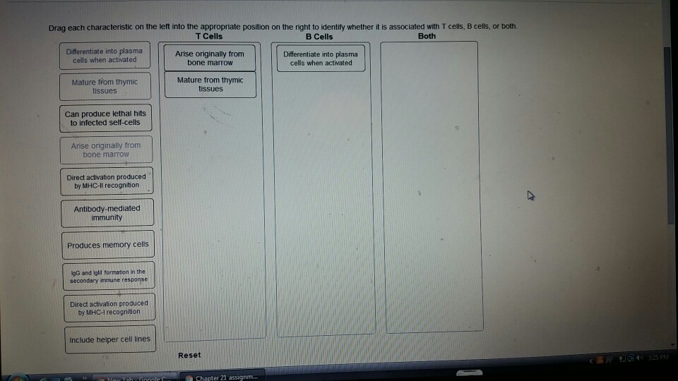 Solved Drag each characteristic on the left into the | Chegg.com