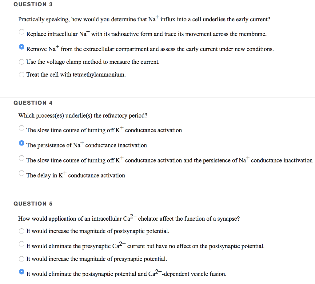 Solved QUESTION 3 Practically speaking, how would you | Chegg.com