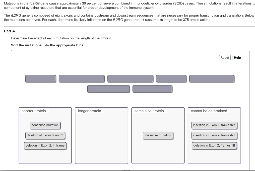 Solved Mutations in the IL2RG gene cause approximately 30 | Chegg.com