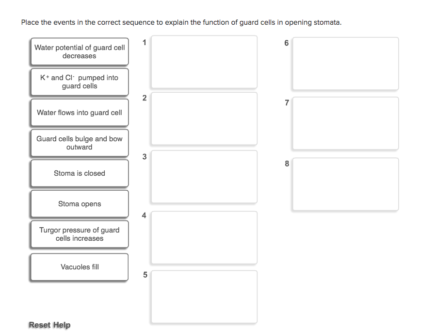 Solved Place the events in the correct sequence to explain | Chegg.com