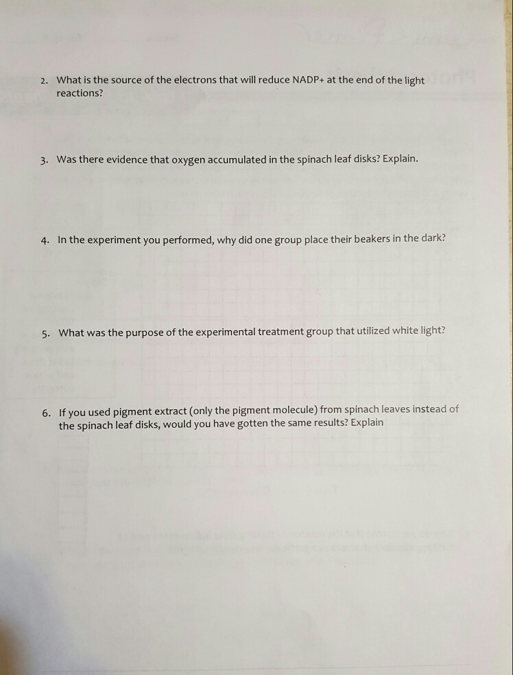Solved Group Data: Floating disks by wavelengths (Don't | Chegg.com