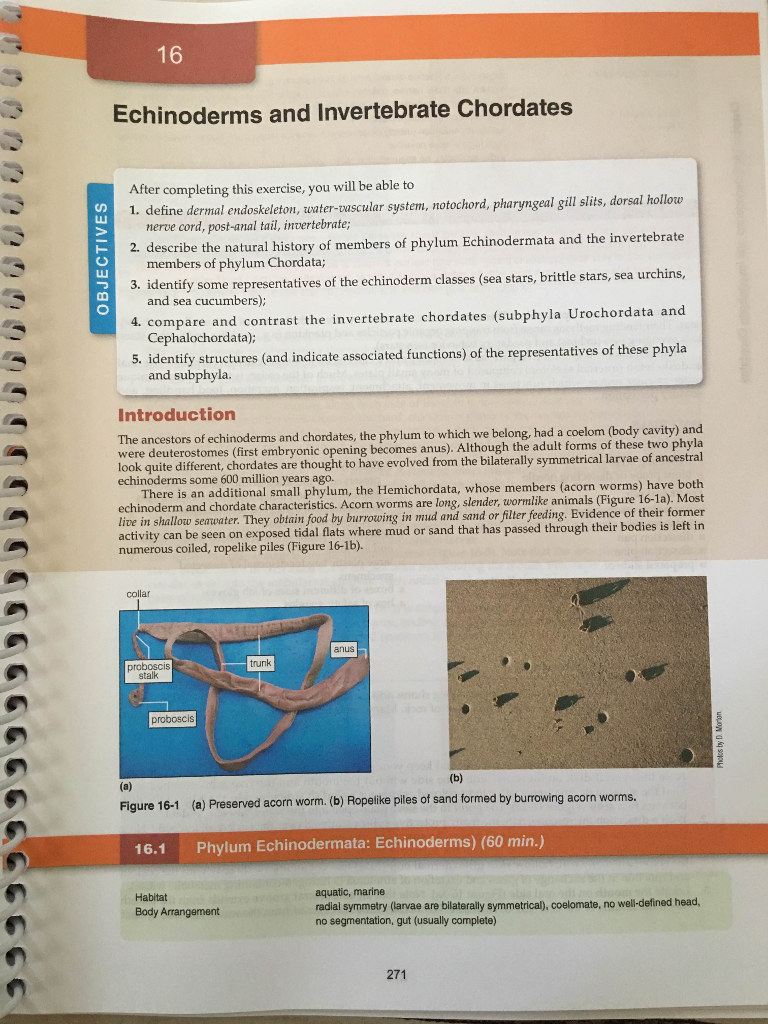 Solved Describe the distinguishing features of the animals | Chegg.com