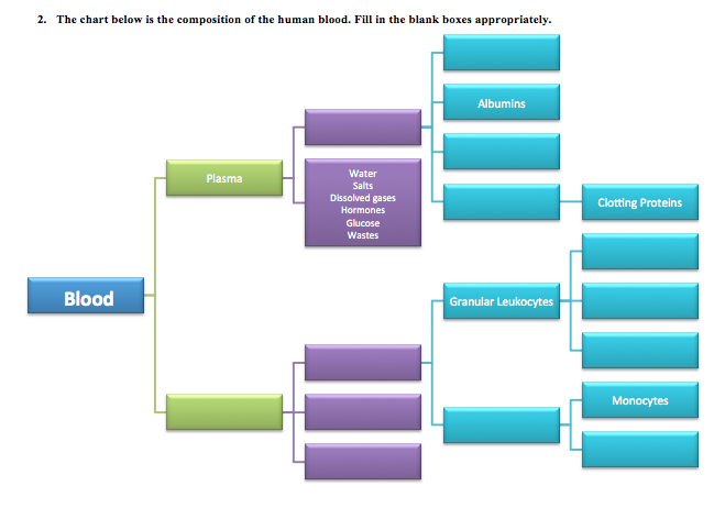 Biology Archive | October 27, 2015 | Chegg.com