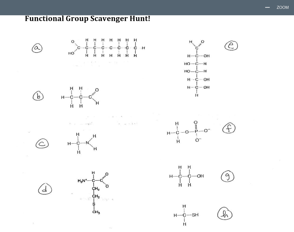 Solved ZOOM Functional Group Scavenger Hunt! HO HO-C-H -C-OH | Chegg.com