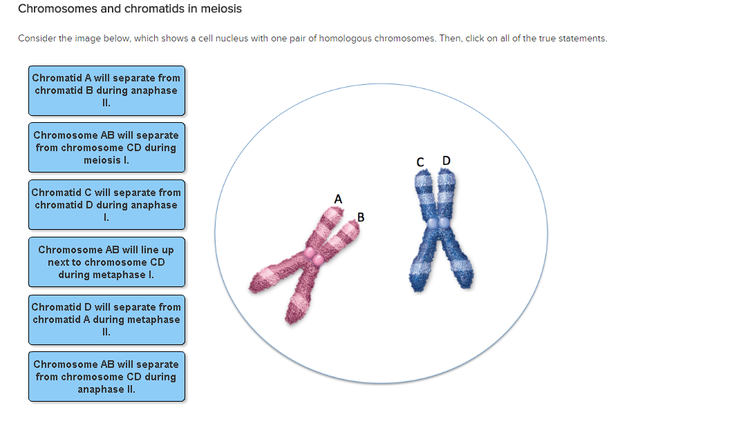 Solved Arrange the terms on the left in order from largest | Chegg.com
