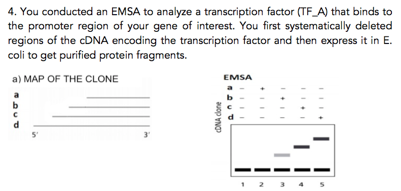 Solved Could you please explain the answer in red to me? In | Chegg.com