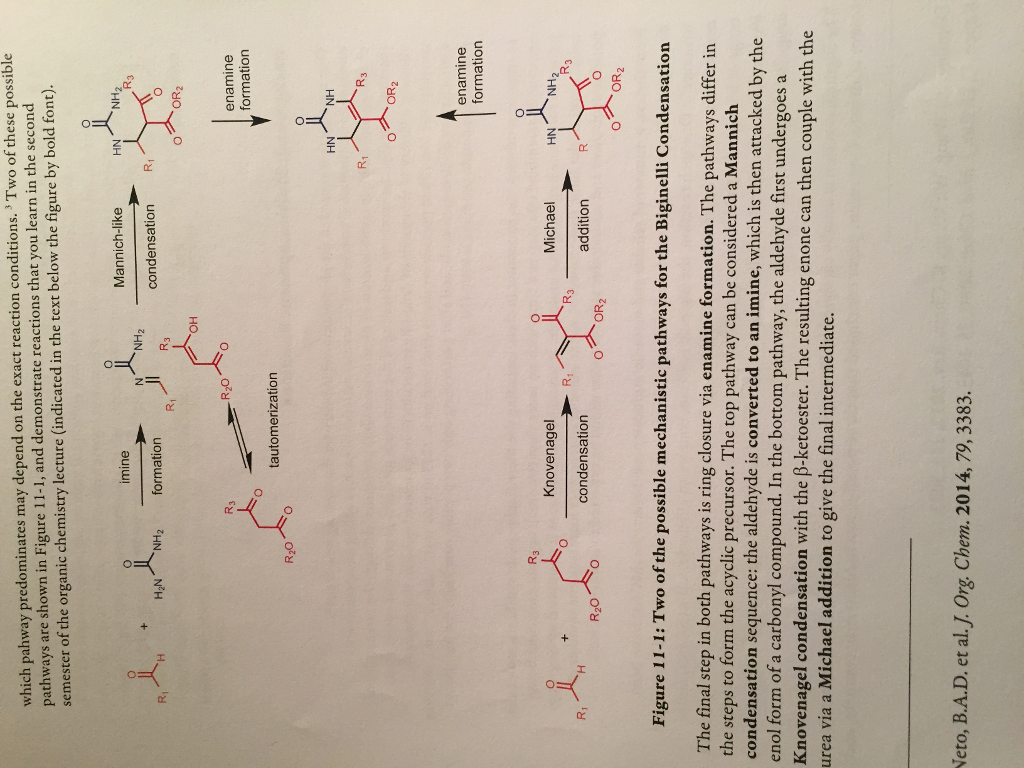 Solved 4. Provide complete reaction mechanisms for the imine | Chegg.com Solved 4. Provide complete reaction mechanisms for the imine | Chegg.com