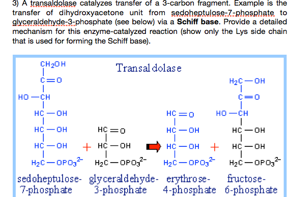 Solved A transaldolase catalyzes transfer of a 3-carbon | Chegg.com