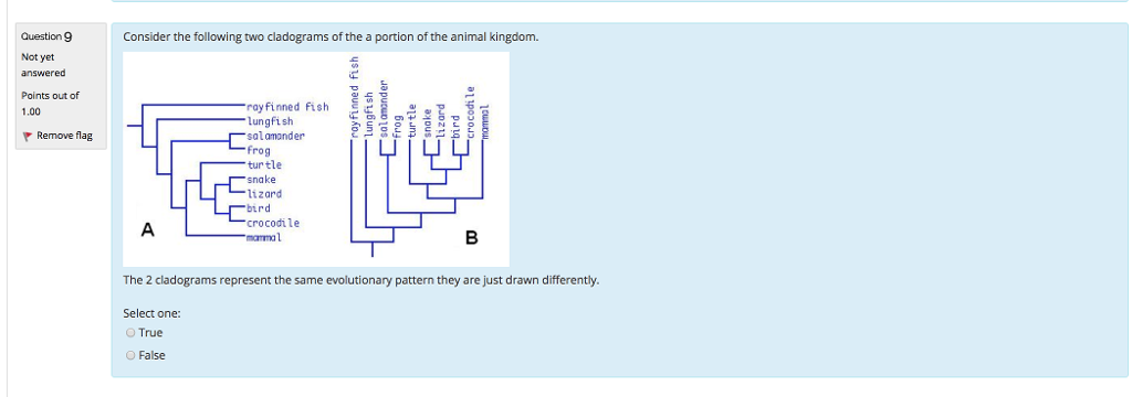 Solved Question 9 Consider the following two cladograms of | Chegg.com