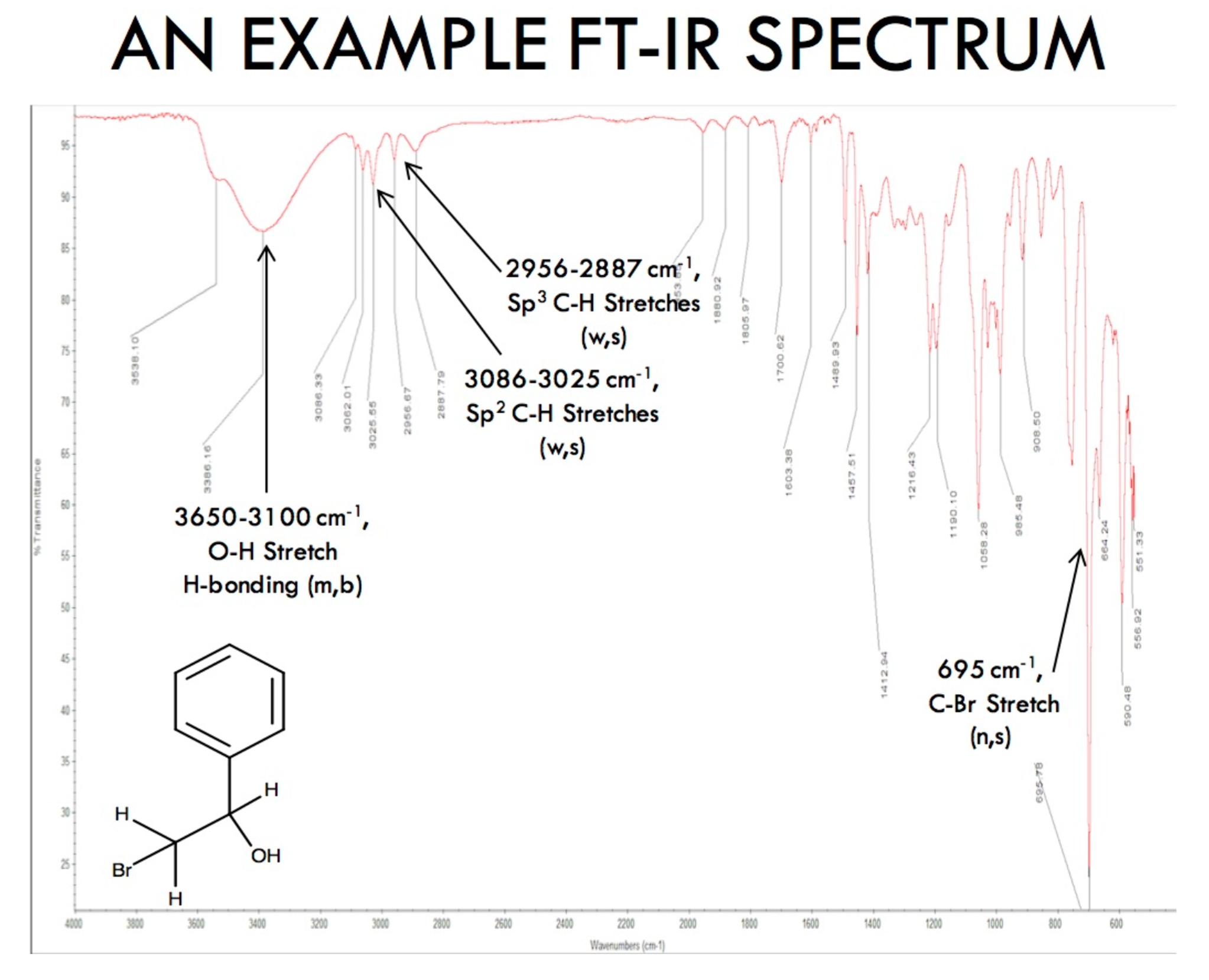 Solved Will somebody help me correctly annotate the | Chegg.com