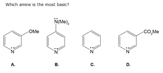 Solved Which amine is the most basic? | Chegg.com