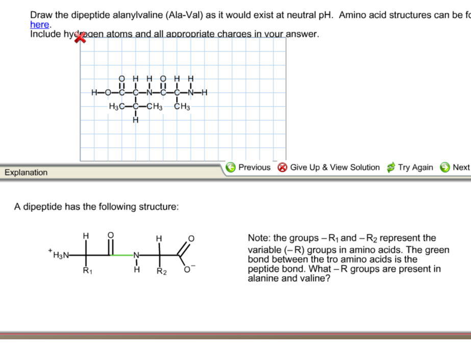 Solved Draw the dipeptide alanylvaline (Ala-Val) as it would | Chegg.com