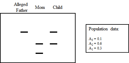 Solved 1)The image below represents a gel showing the PCR | Chegg.com