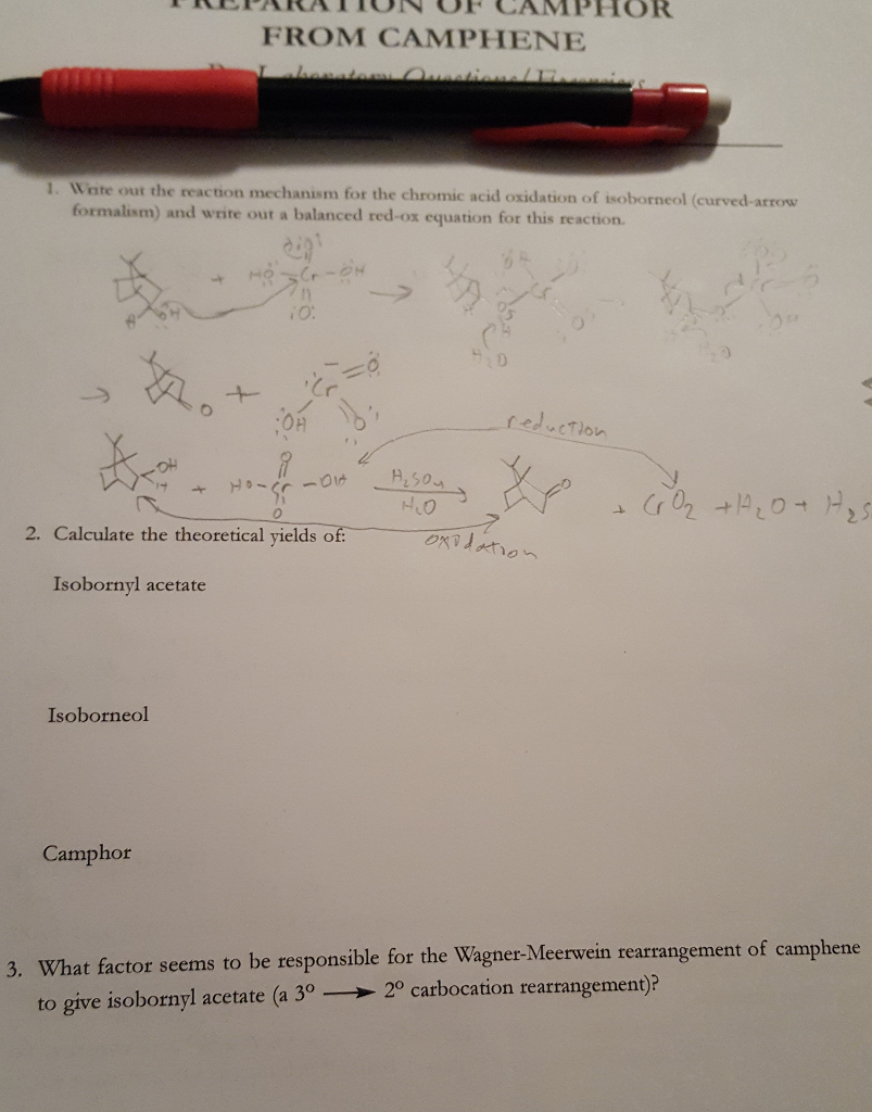 Solved TON OF CAMPHOR FROM CAMPHENE 1 , were out the | Chegg.com