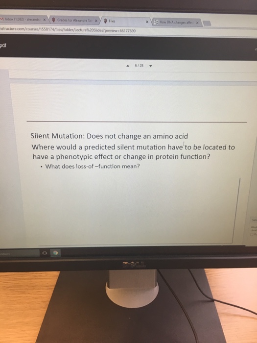 Solved Silent Mutation: Does not change an amino acid Where | Chegg.com