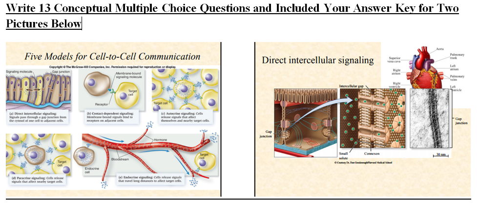 Solved Note: Write 13 Conceptual Multiple Choice Questions | Chegg.com