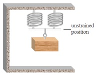 Solved A spring is hung vertically from a fixed support. | Chegg.com