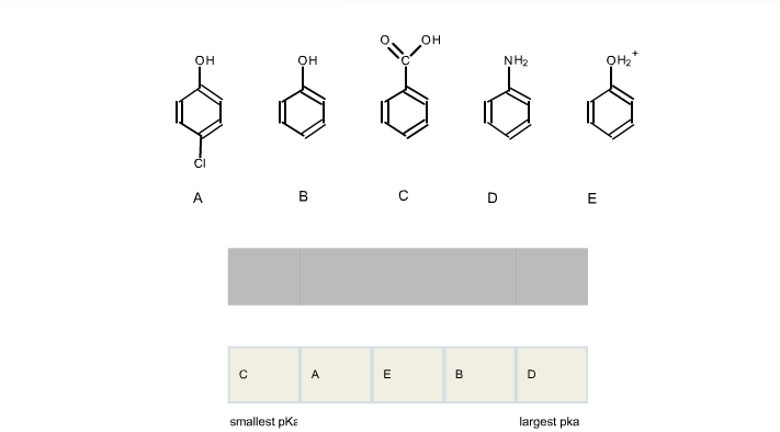 Solved Rank the following acids according to pka | Chegg.com Solved Rank the following acids according to pka | Chegg.com