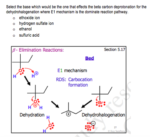 Solved Select the base which would be the one that effects | Chegg.com
