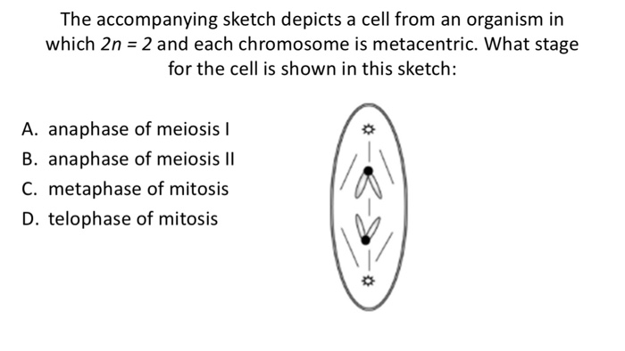 Solved The accompanying sketch depicts a cell from an | Chegg.com