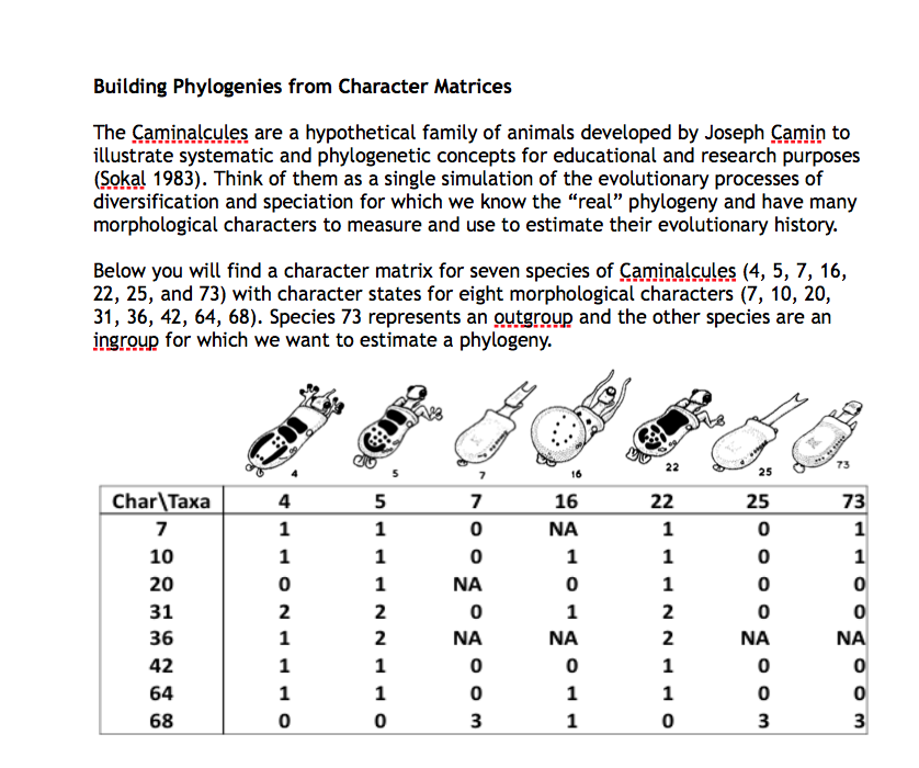 Building Phylogenies from Character Matrices The | Chegg.com