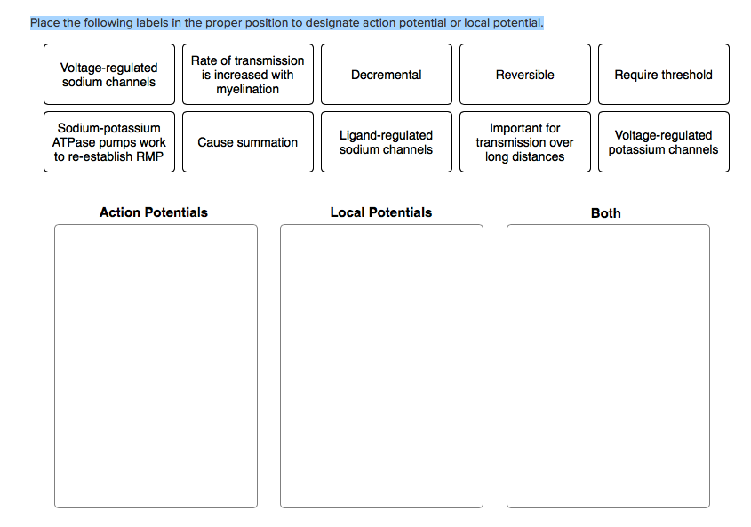 Blank Action Potential Diagram