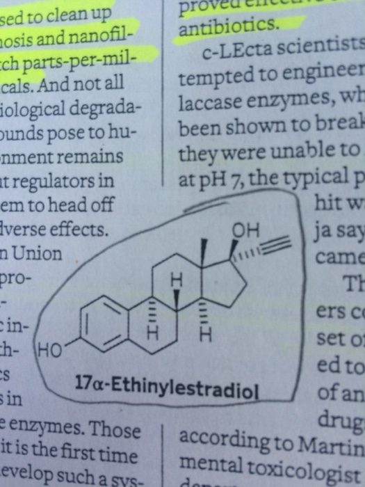 Solved What are the 5 functional groups in the molecule of | Chegg.com