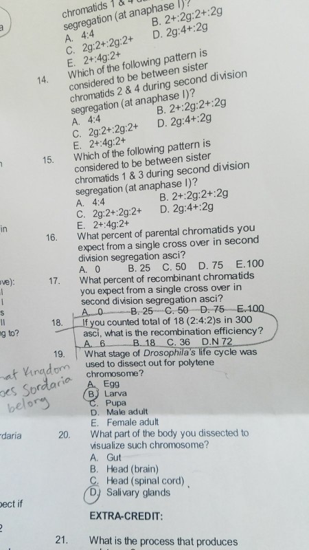 Solved Which of the following pattern is considered to be | Chegg.com