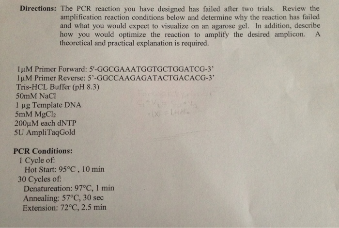 Solved Directions: The PCR reaction you have designed has | Chegg.com