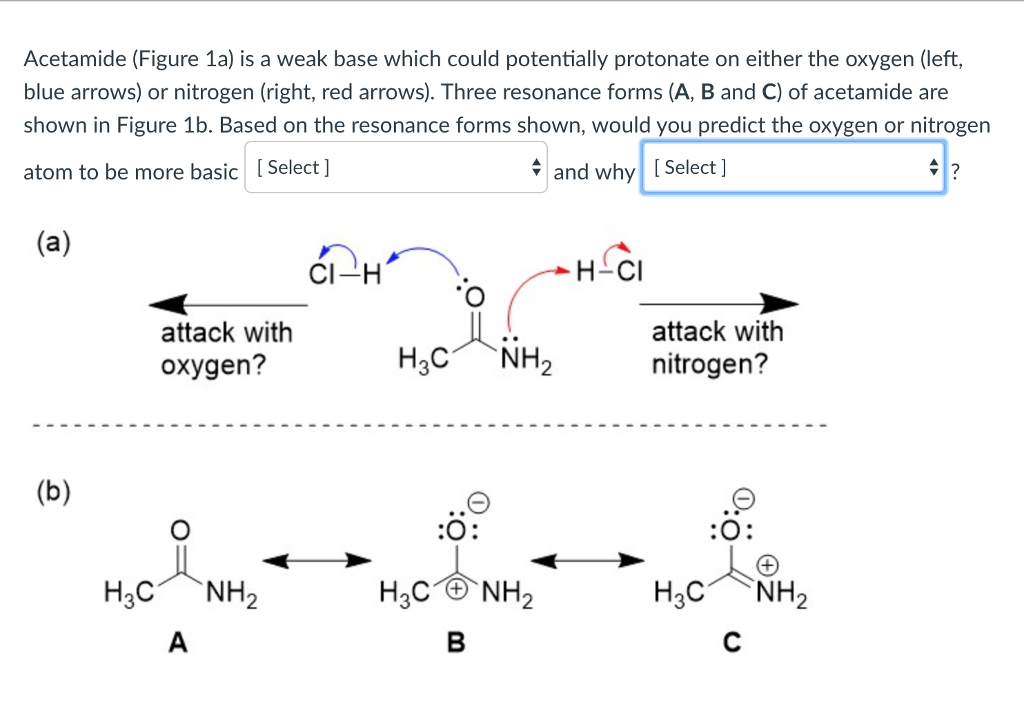 Solved Acetamide (Figure 1a) is a weak base which could | Chegg.com