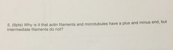 Solved Why is it that actin filaments and microtubules have | Chegg.com