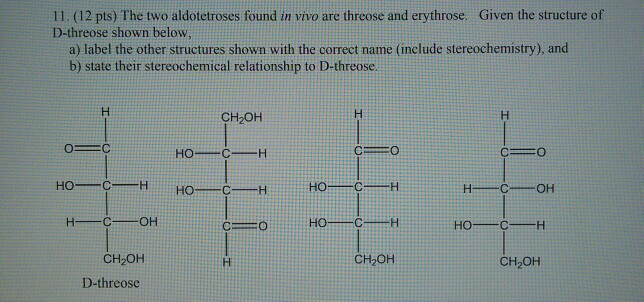 Solved 11. (12 pts) The two aldotetroses found in vivo are | Chegg.com