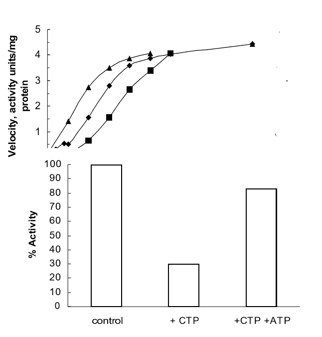 Solved Background Aspartate transcarbamoylase (ATCase) | Chegg.com